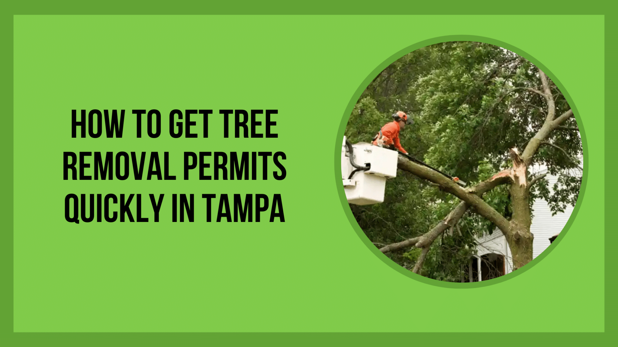 How to Get Tree Removal Permits Quickly in Tampa - Panorama Tree Care